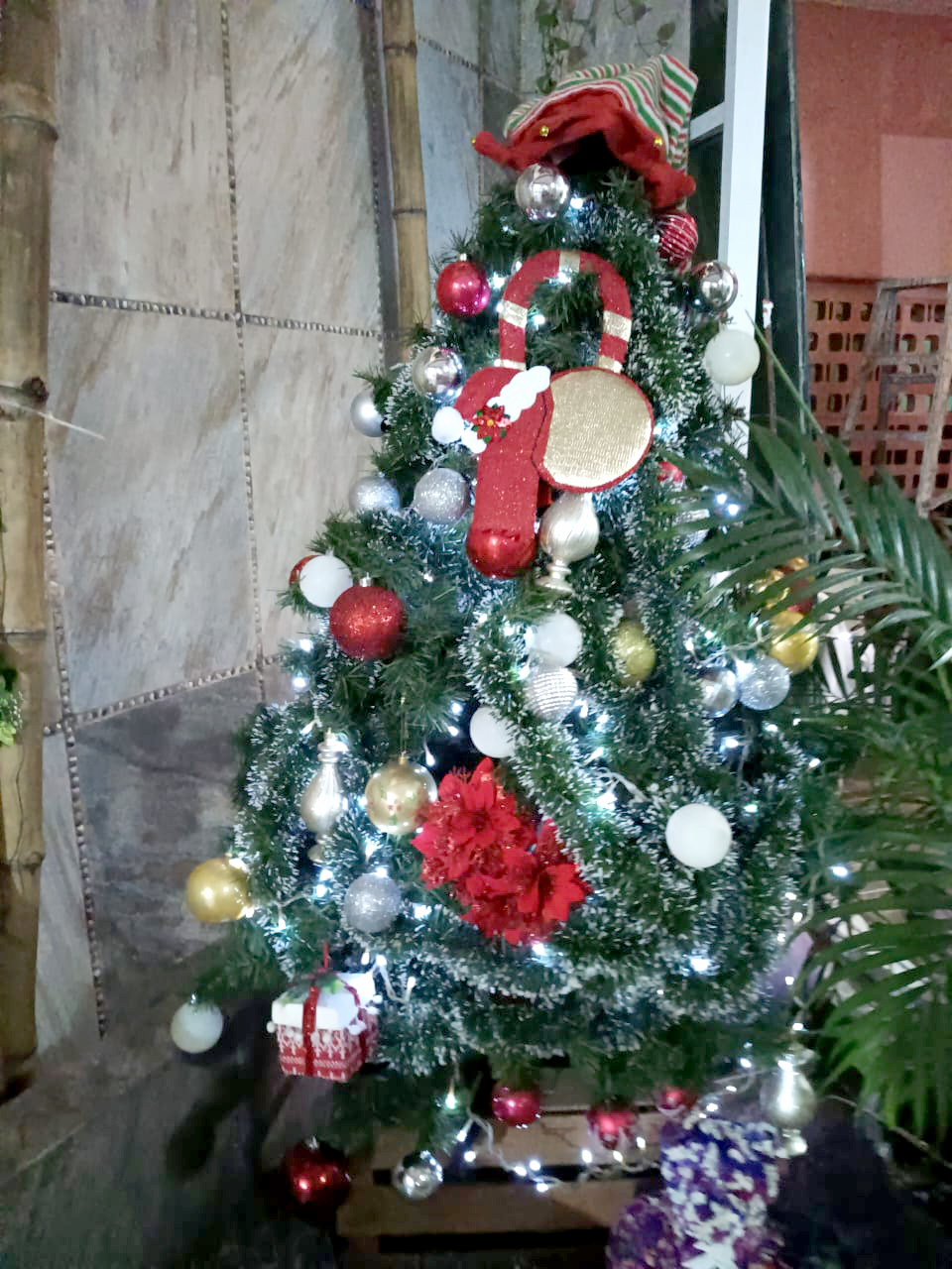 13.- Martha de la Cruz | Presencia, Tu Revista | Acapulco